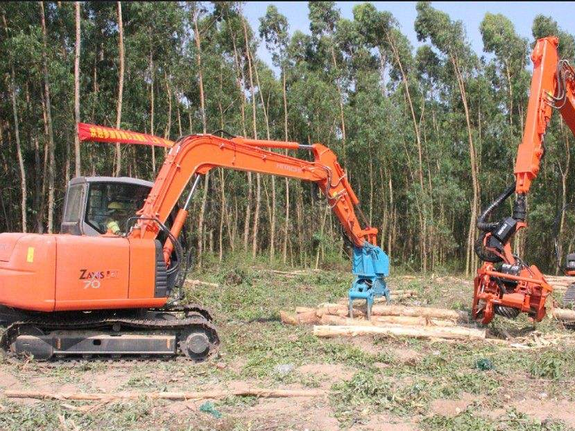The rise of high-tech forestry machinery--Seetao