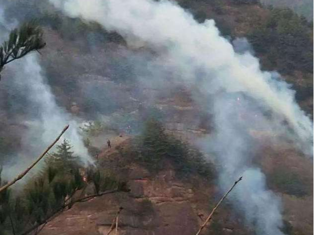 Forest fire in Chengxian County, Gansu, firefighters have gone to fight ...