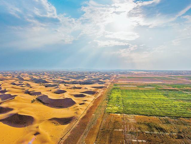 Datang Group Signed Alxa League Photovoltaic Sand Control Project--Seetao
