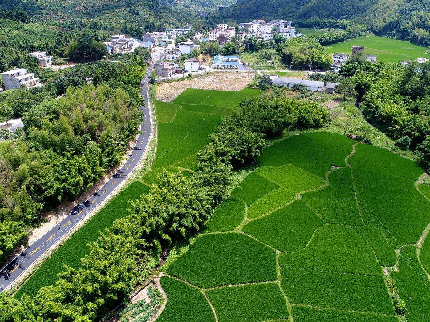 The total mileage of rural roads in China exceeds 4 million kilometers ...