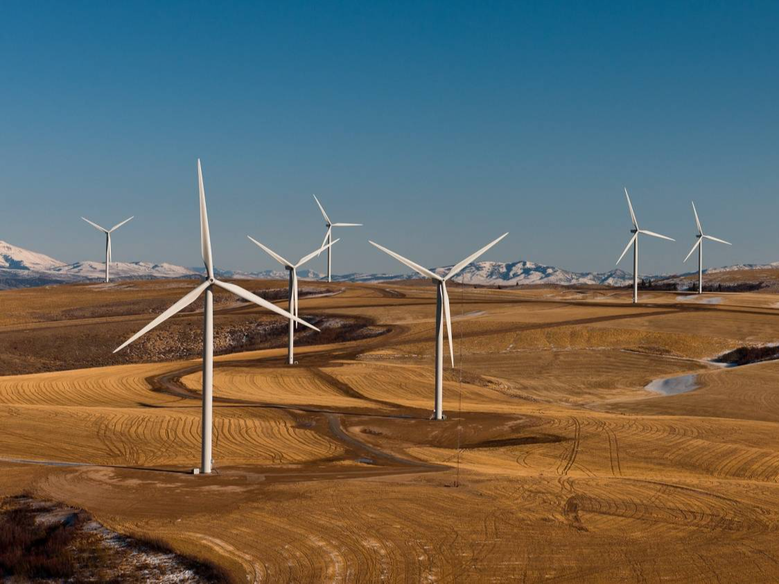 India has quickly become one of the world's green energy leaders--Seetao