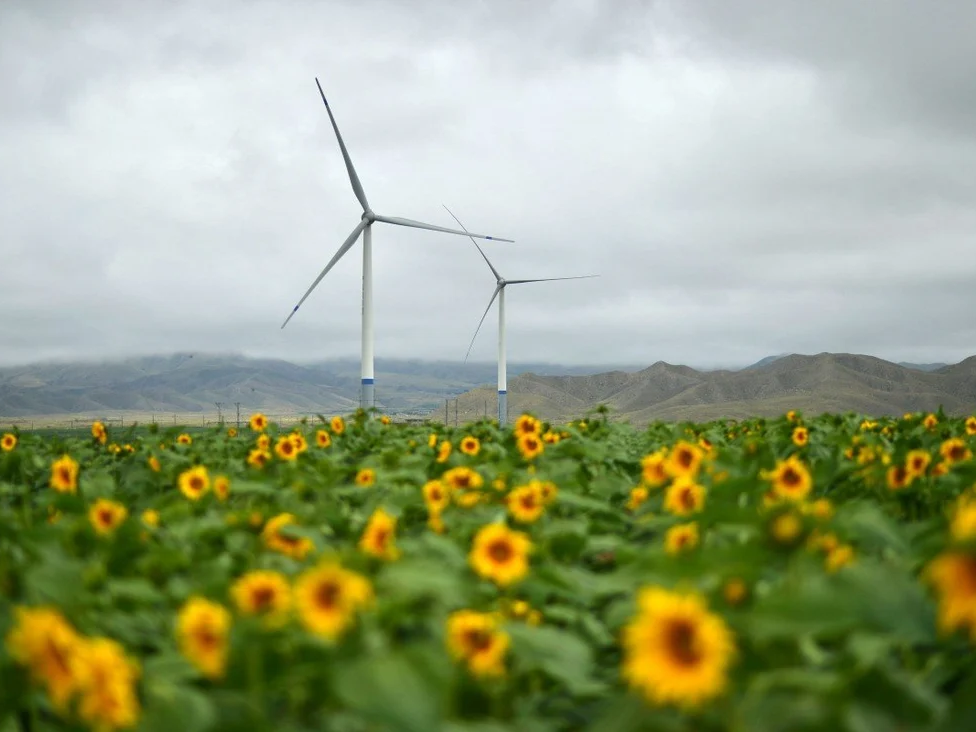 Chinese companies increase investment in green projects in Southeast ...