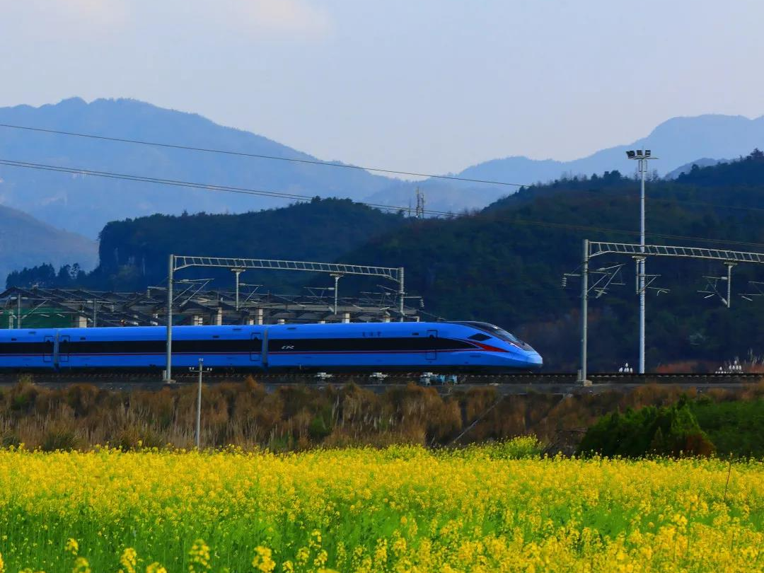 It's beautiful! The train for spring is coming!--Seetao