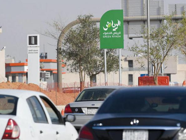 Saudi Arabia passed the world's largest green plan--Seetao