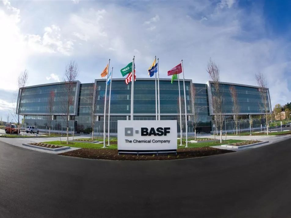 BASF (Guangdong) production base project's bulky terminal starts ...