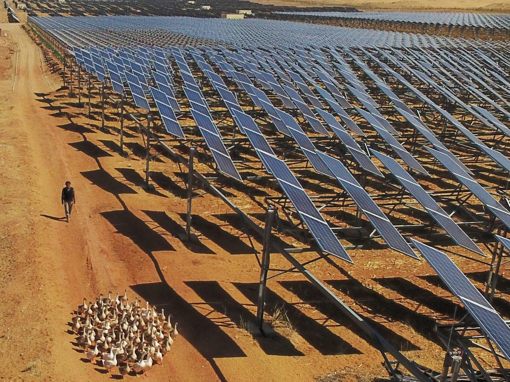 Promote the construction of 450 million kilowatts of wind and solar ...