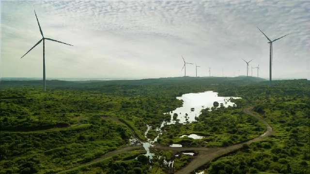 Envision Energy wins gigawatt-level orders in Indian wind power market ...