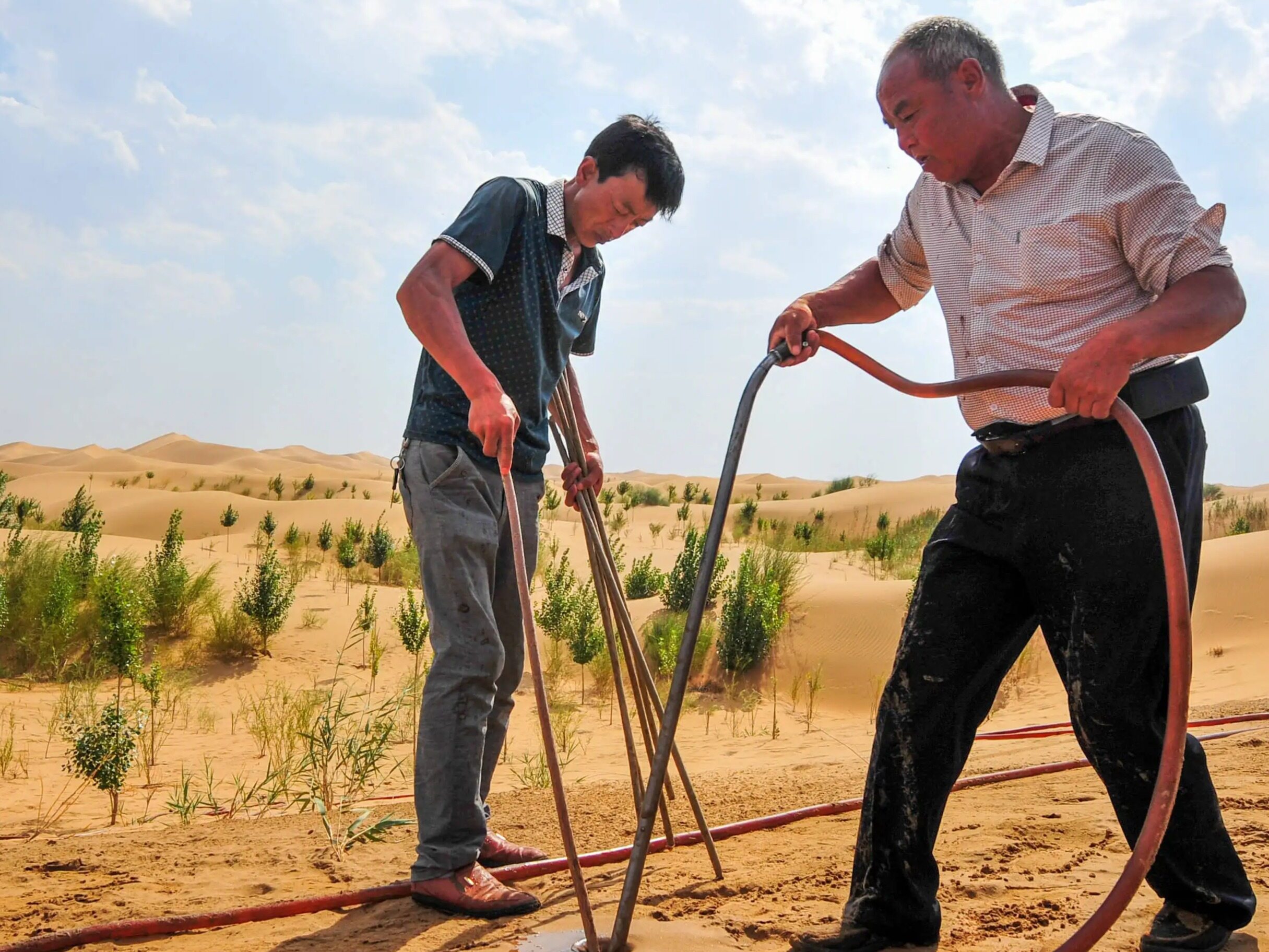 World Earth Day: Building Green Development Together, Saying China's ...
