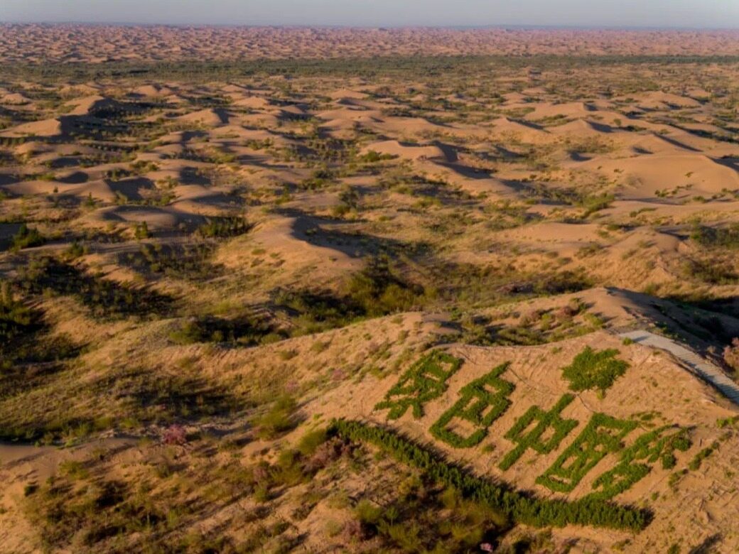 China's desertification control achieves green advancement and sand ...