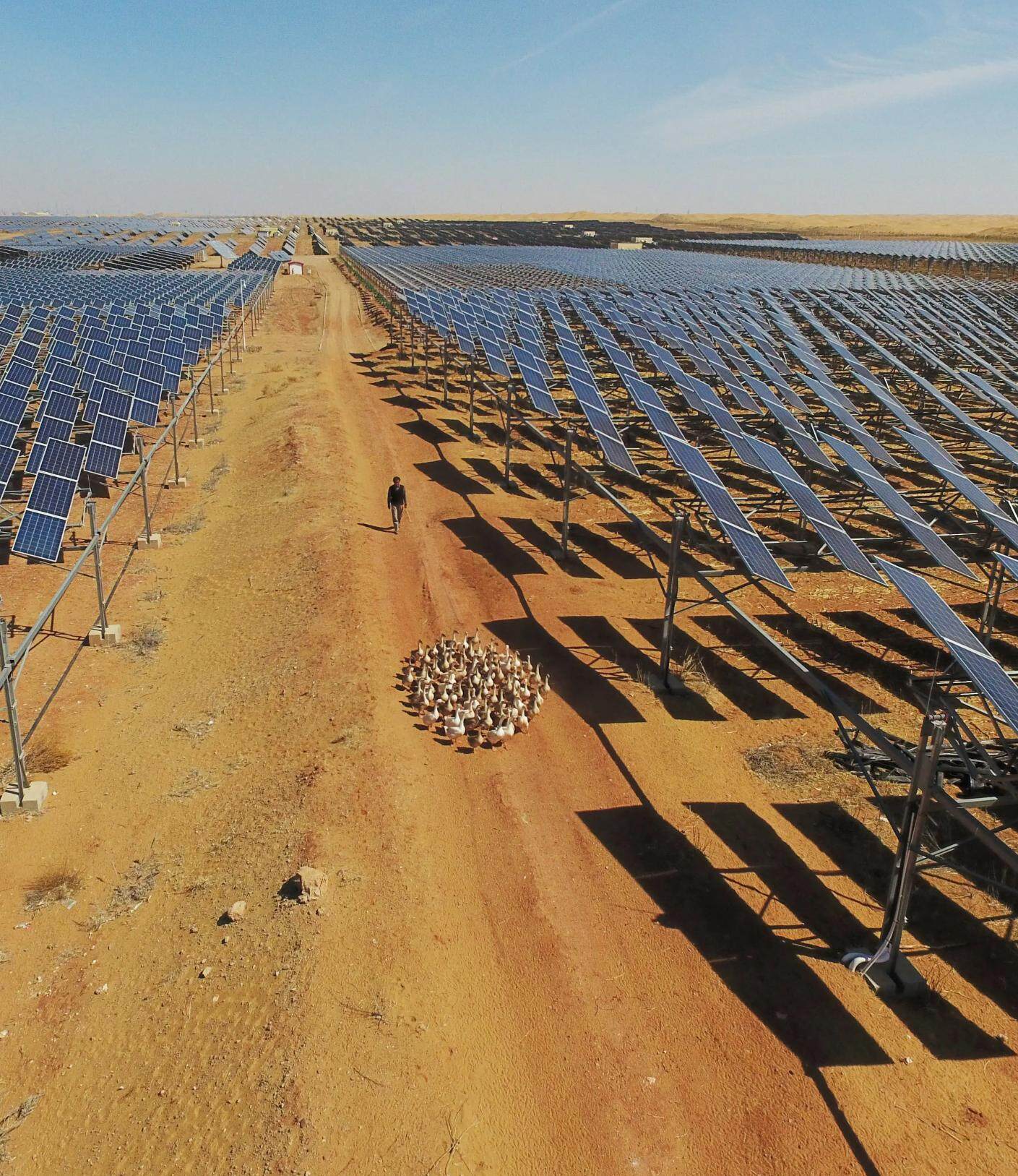 In 2022, China's newly installed photovoltaic capacity will reach 100GW!--Seetao