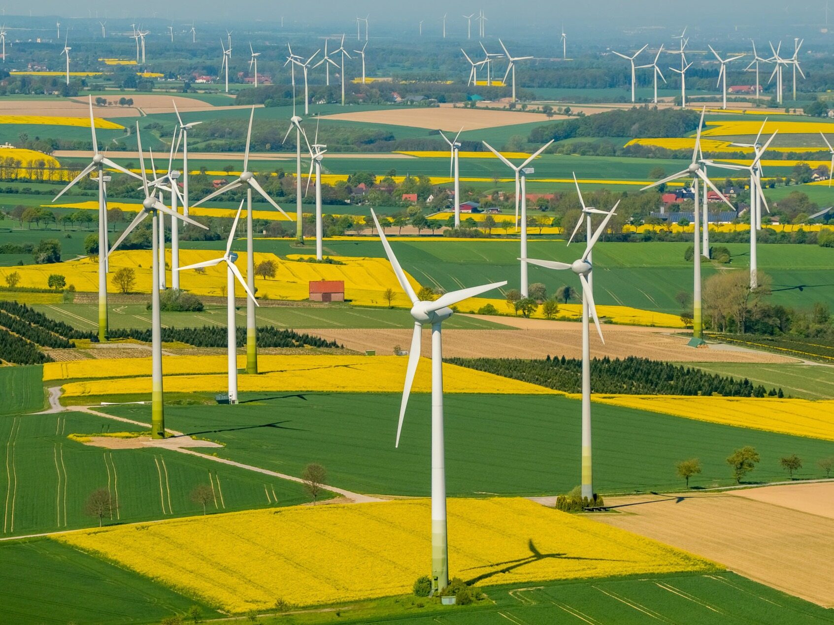 Offshore wind in Ukraine's post-war reconstruction plan--Seetao