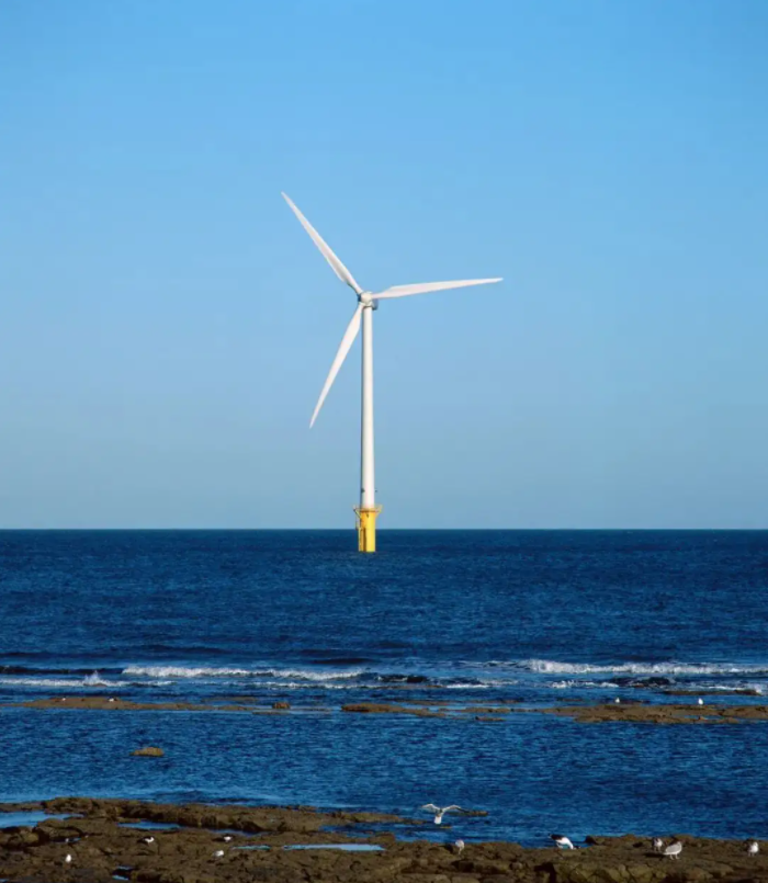 CGN Yangjiang Fanshiyi Offshore Wind Farm Project Launches Bidding--Seetao