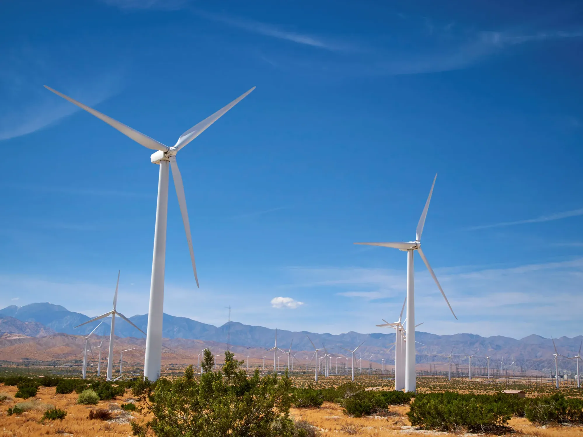 Xinjiang vigorously develops wind power projects--Seetao