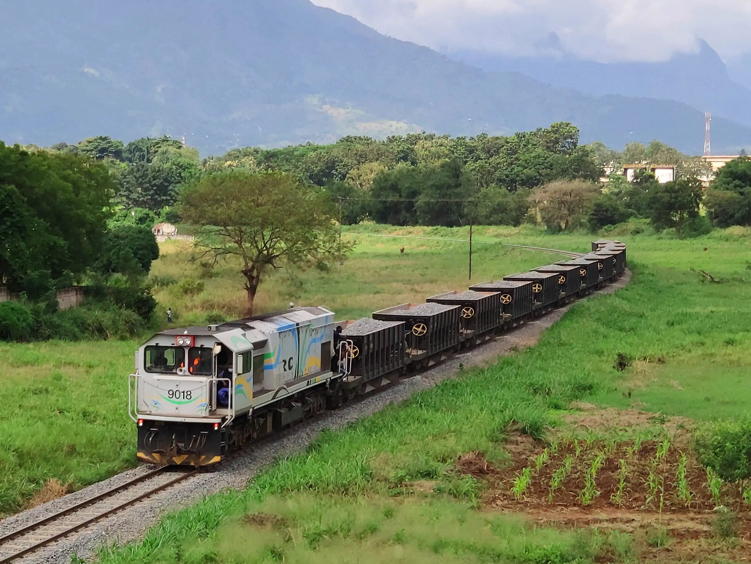 Tanzania launches tender for large-scale cross-border railway project ...