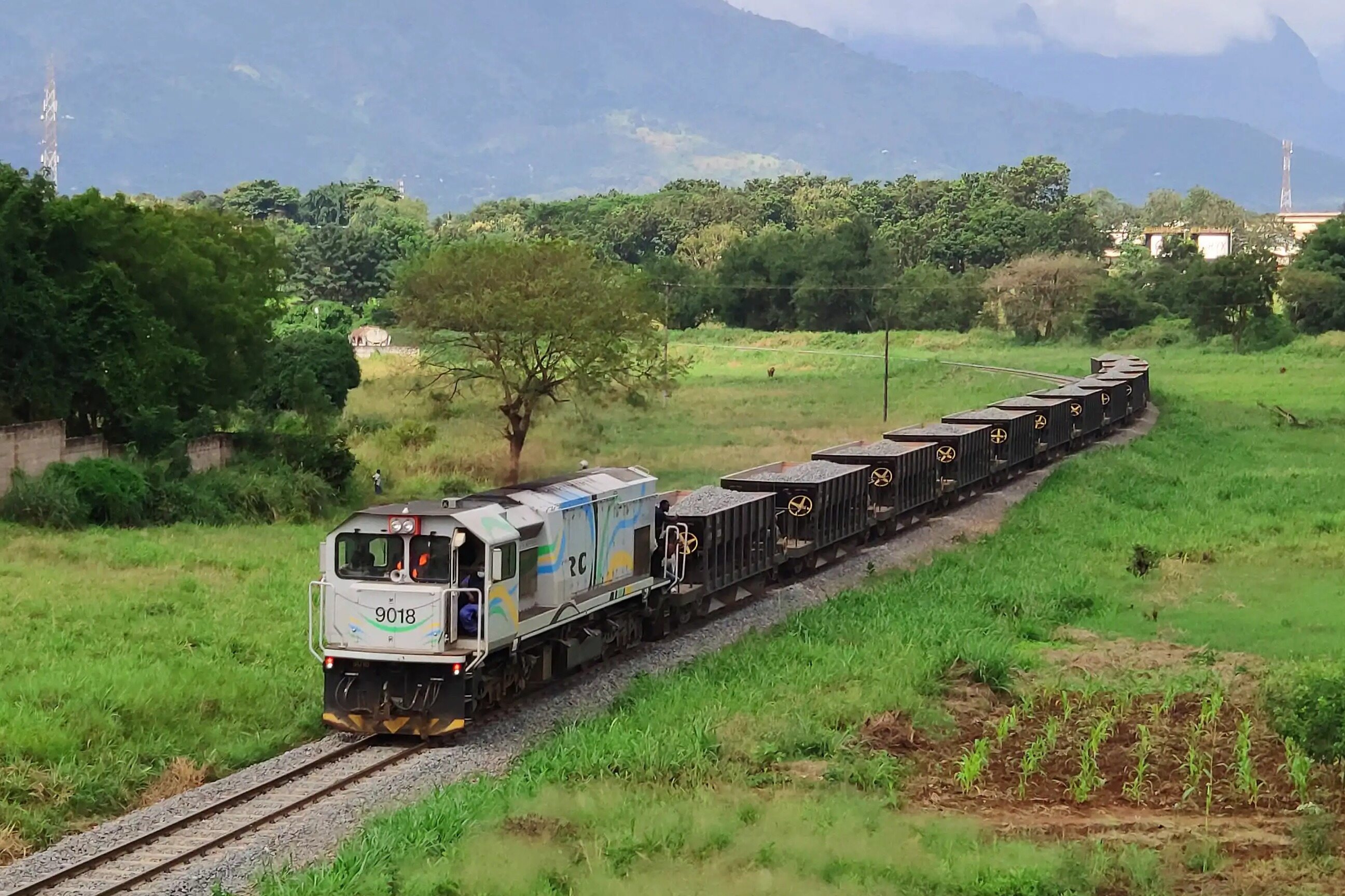 Tanzania launches tender for large-scale cross-border railway project ...