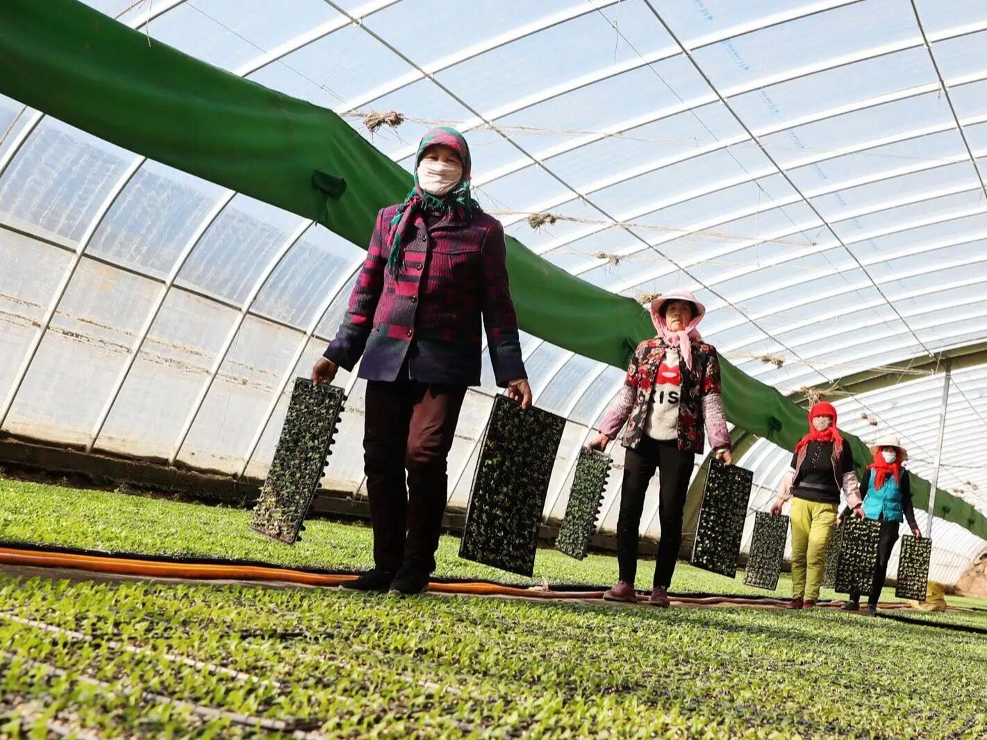 Gansu Jiujian Lianzhong Rural Revitalization Project--Seetao