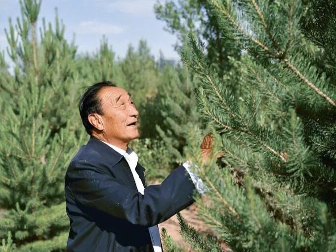 Shi Guangyin: The story of Yu Gong's sand control--Seetao