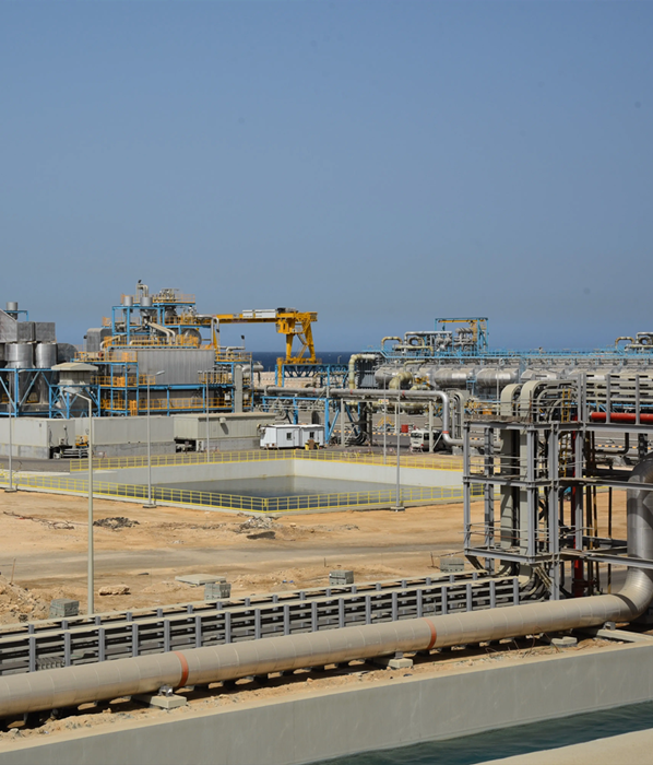 New energy has become a new growth point for China-Arab cooperation--Seetao