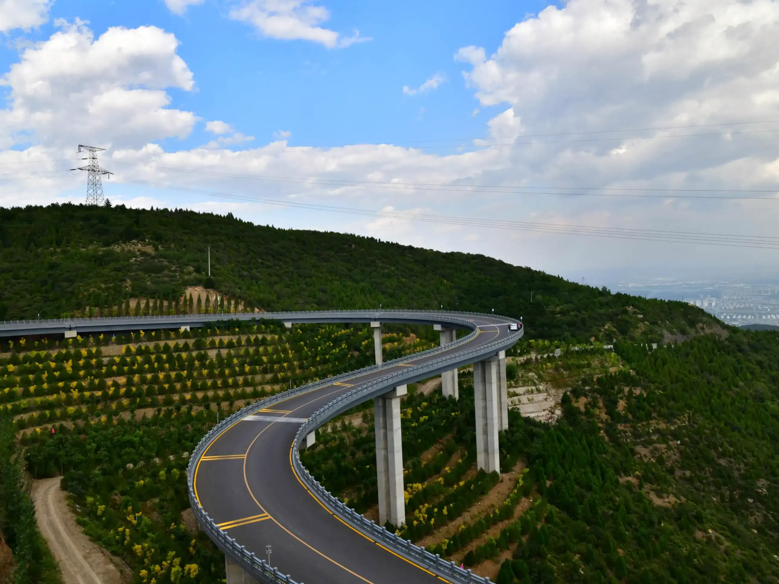 Bid opening of tourism road around tropical rainforest national park ...