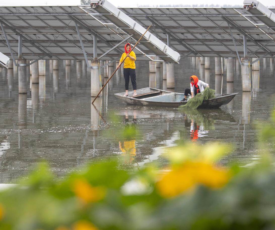 Ningde Times starts to build 1.1GW fish light complementary ...