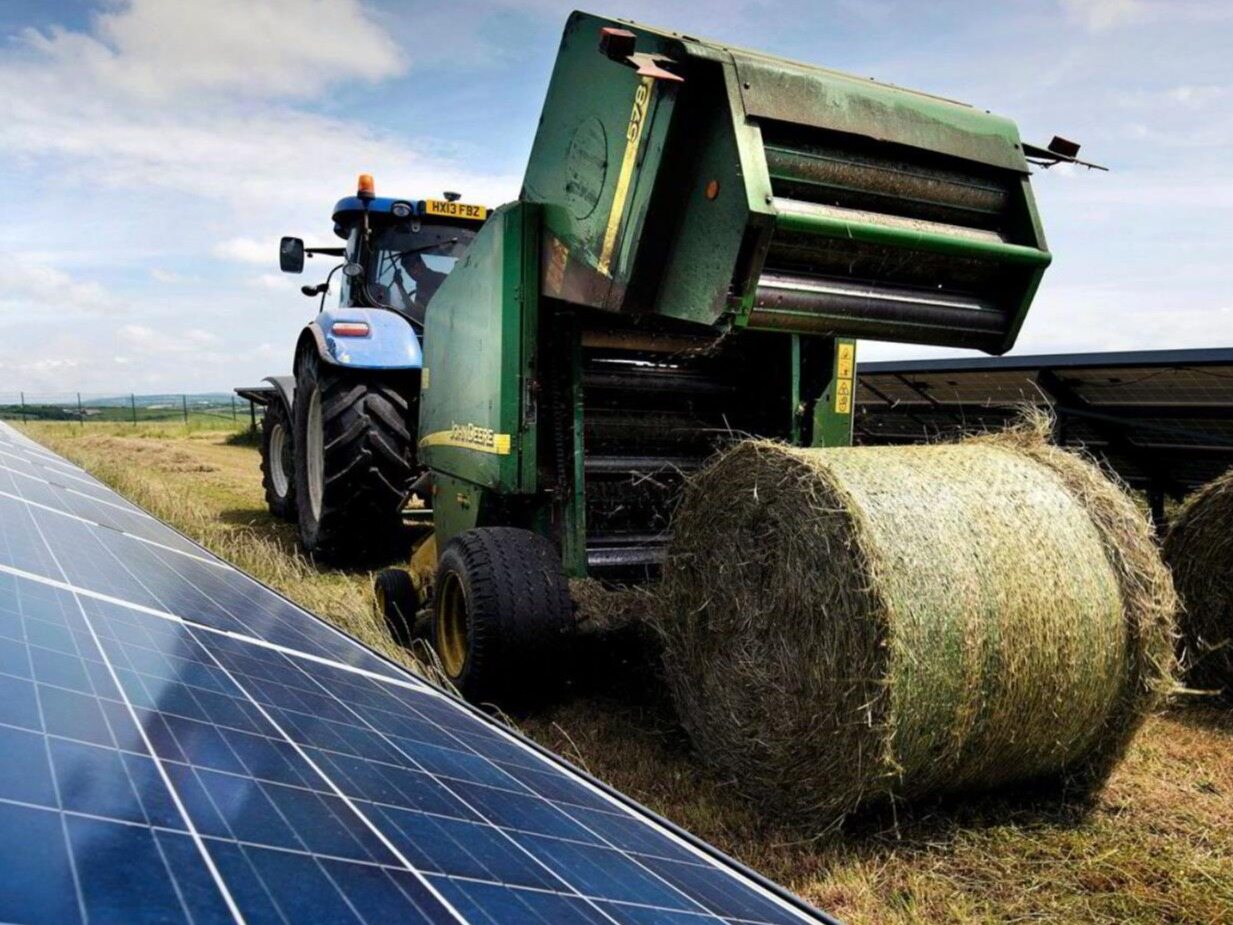 Germany launches new 1.95GW solar PV tender--Seetao