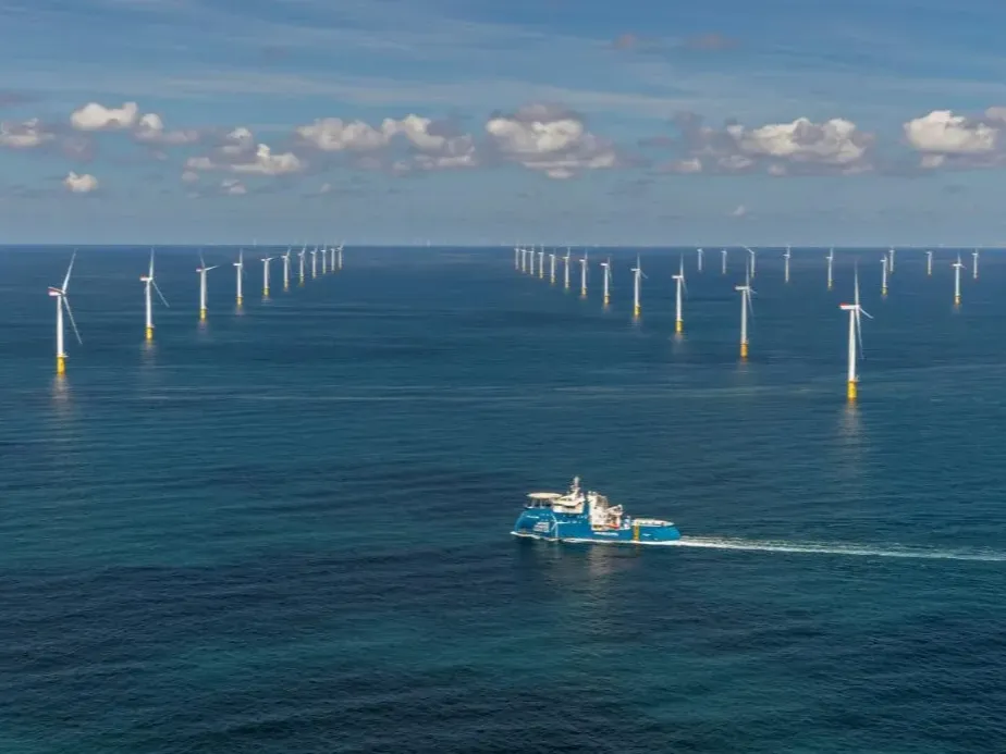 Portugal confirms construction area for 11GW offshore wind power ...