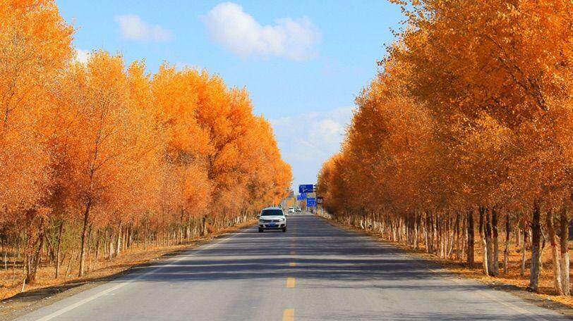 Xinjiang invested 8 billion yuan to rebuild 6000 kilometers of rural ...