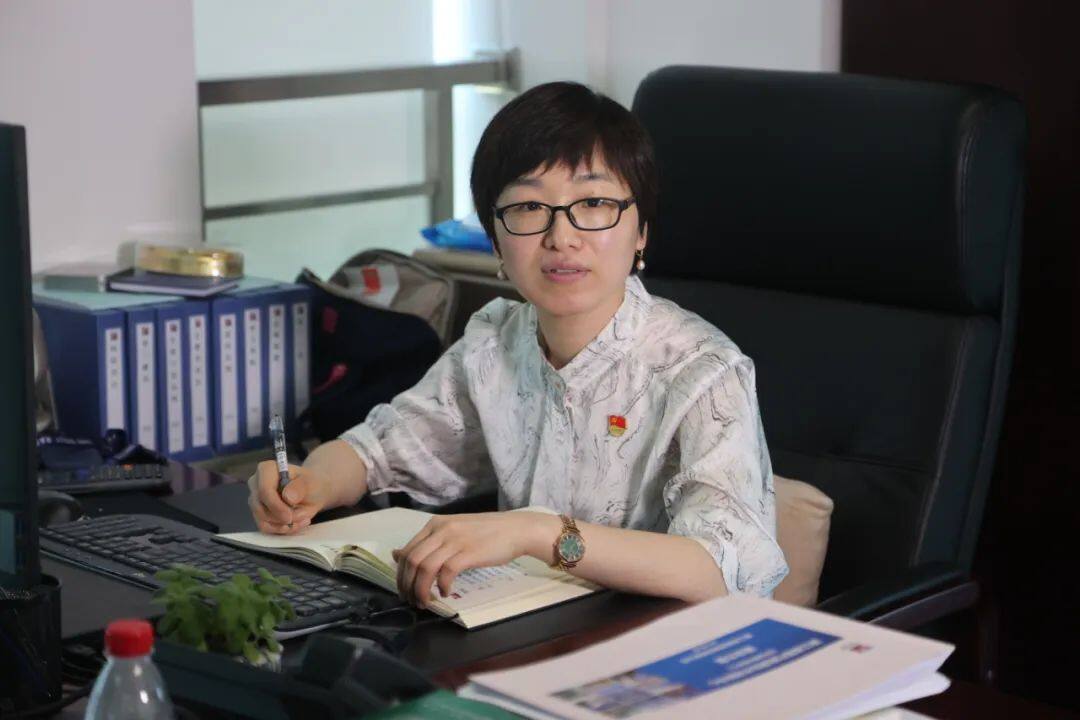 promote-the-clean-utilization-of-coal-and-build-a-new-energy-system-seetao