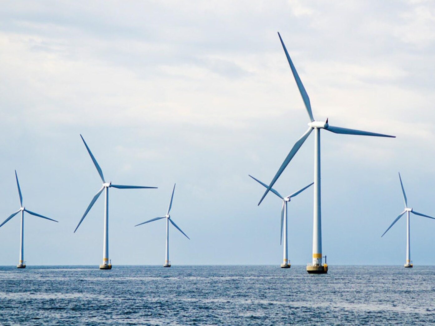 Longyuan Power's Wind and Fishery Fusion Obtained Authoritative ...