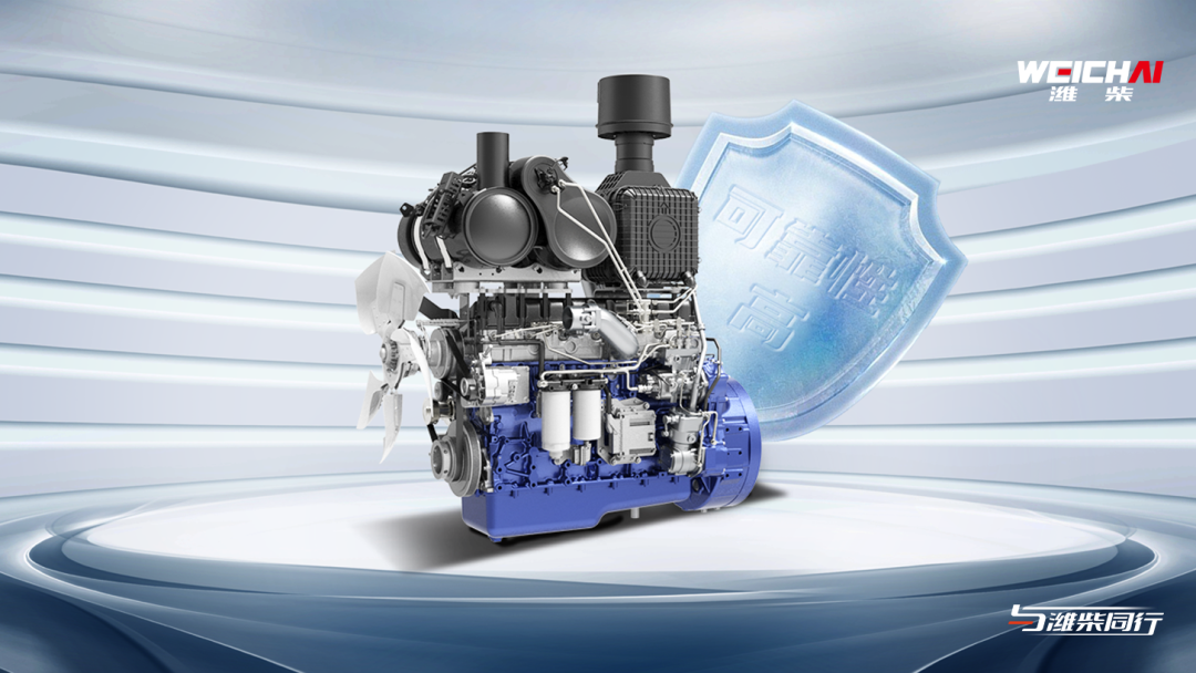 Exclusive power for Weichai WP10H loader, hot delivery nationwide!--Seetao