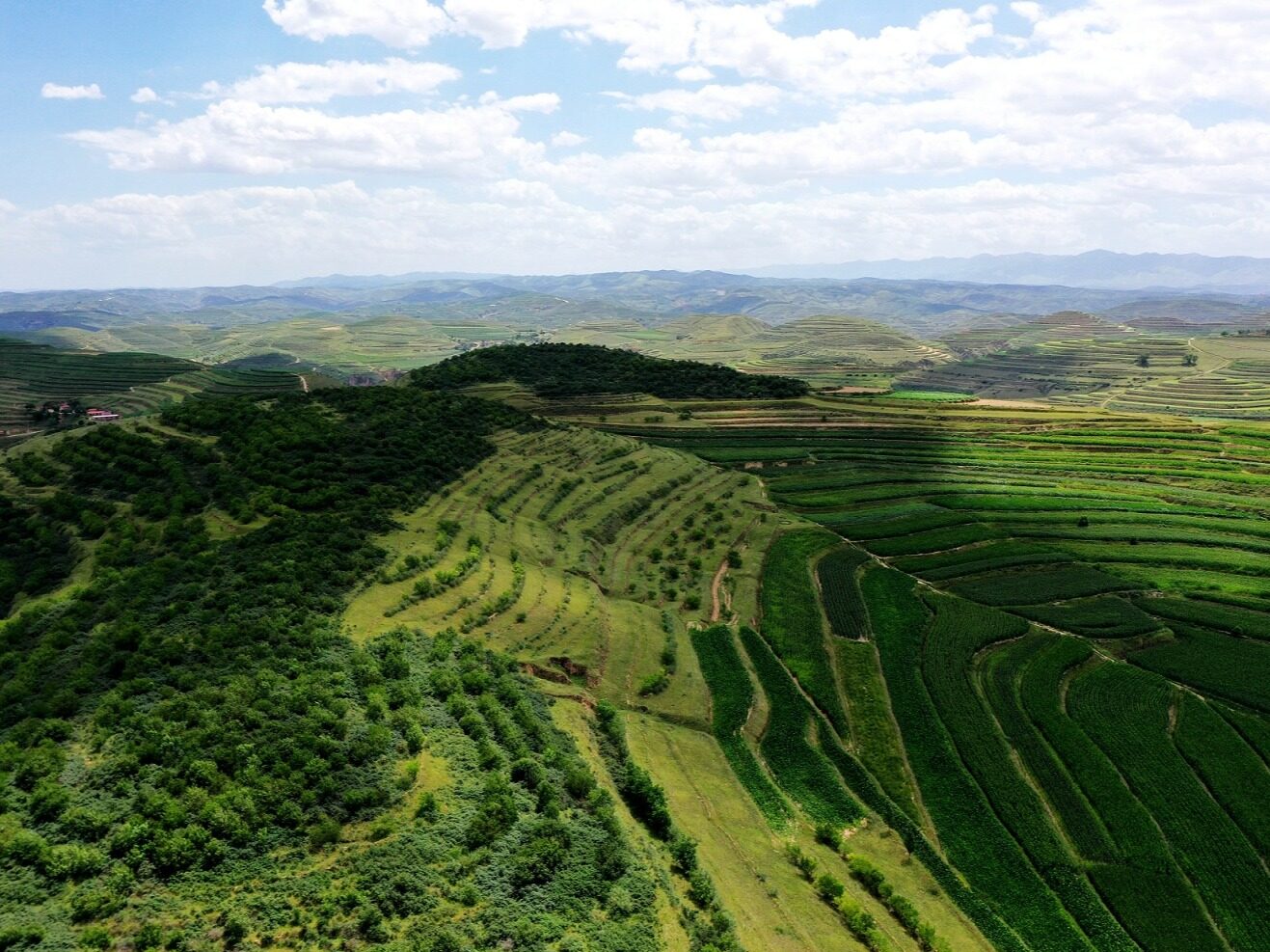 Xiaoxian State Environmental Governance Project announced the list--Seetao