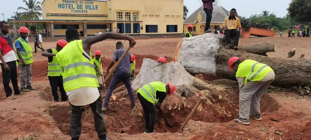 COVEC won the bid for three photovoltaic projects in Congo (Kinshasa ...