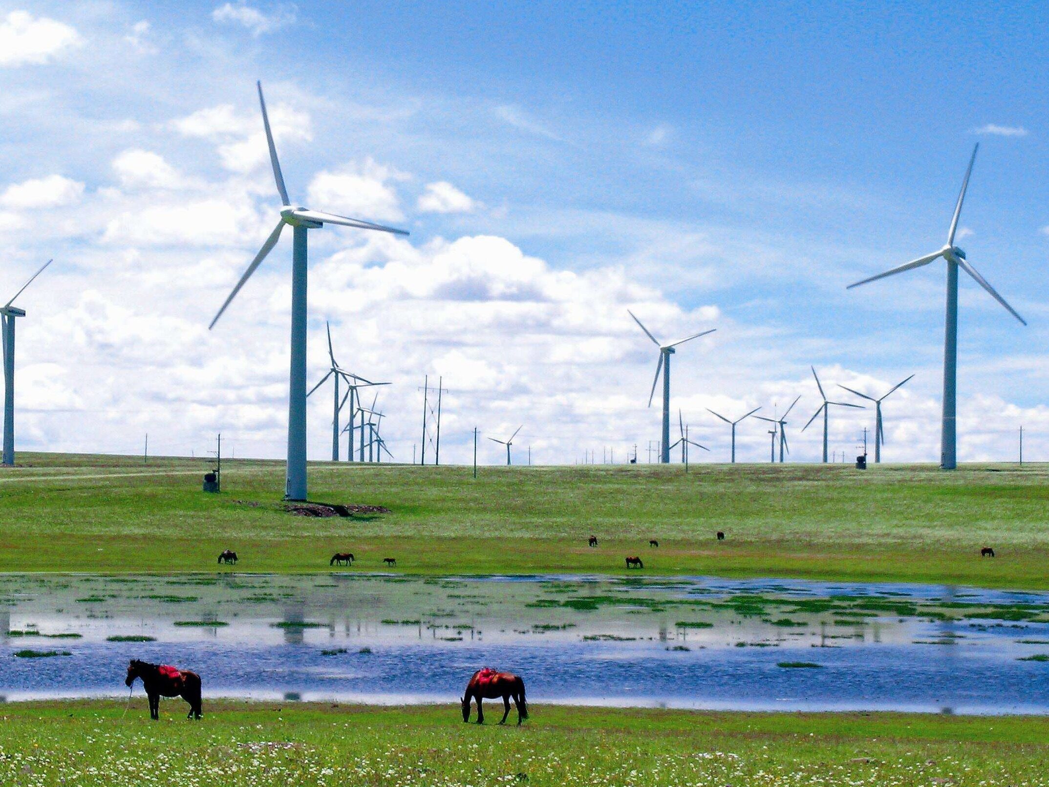 Inner Mongolia New Energy Project Feasibility Study Report Passed ...