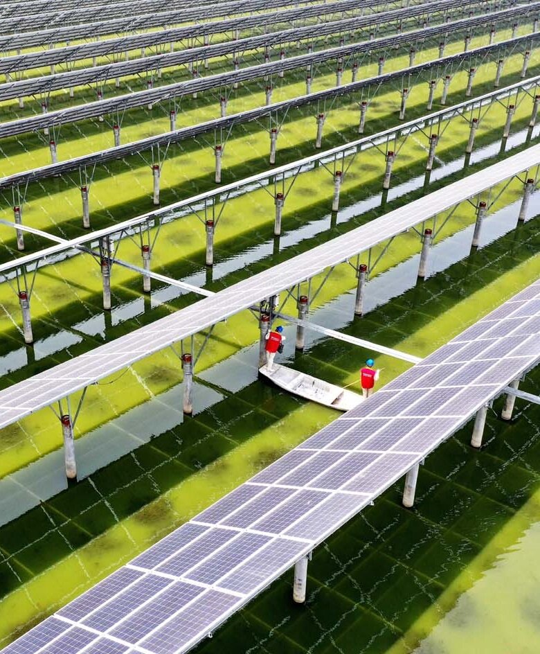 Jiangsu Yangzhou centralized photovoltaic power generation project ...