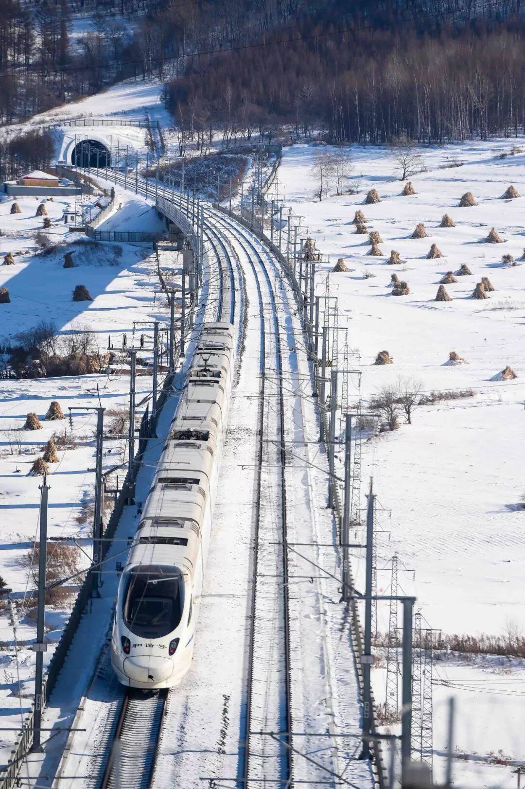 Central enterprises to boost the overall revitalization of Northeast ...