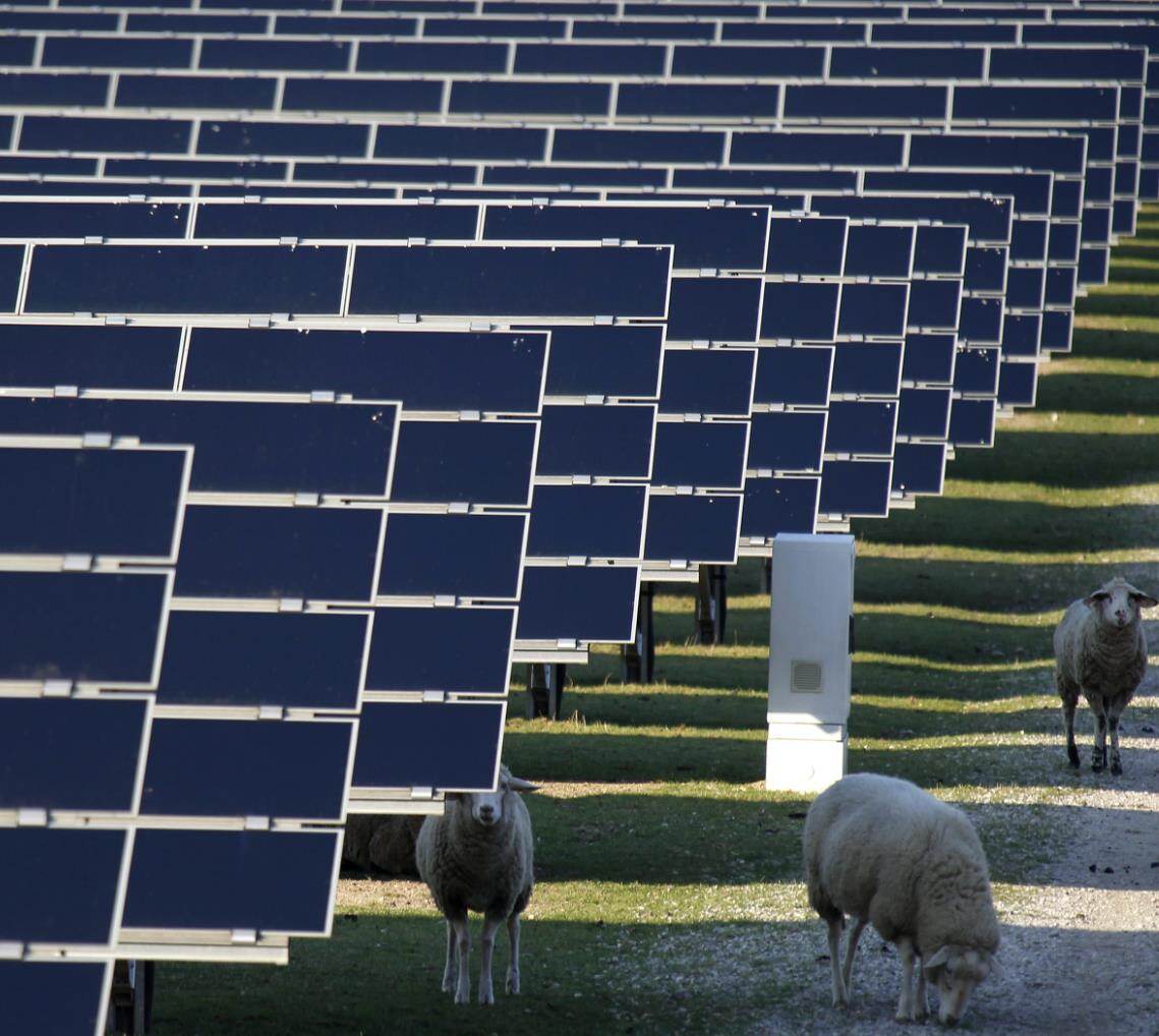 MaxSolar won the 2GW solar photovoltaic project in Germany--Seetao