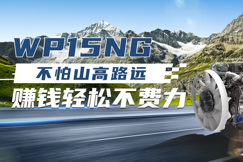 WP15NG gas engine makes money effortlessly and effortlessly--Seetao