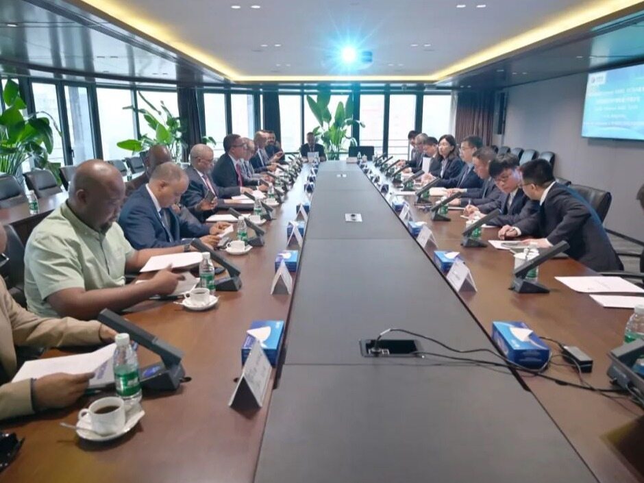 Power China and Mauritania Deepen Energy Cooperation--Seetao