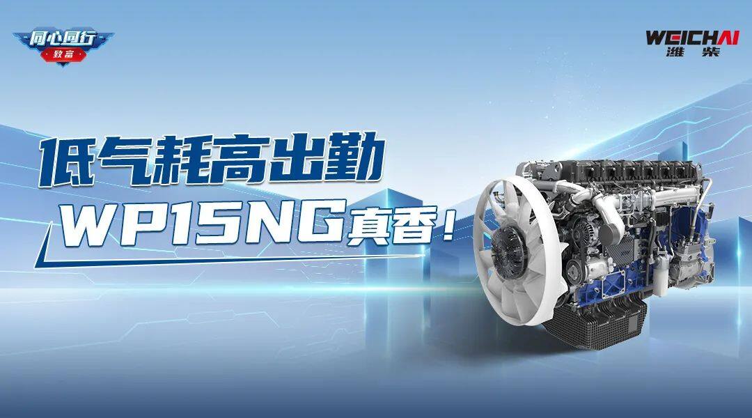 Low gas consumption and high attendance, WP15NG is really fragrant!--Seetao