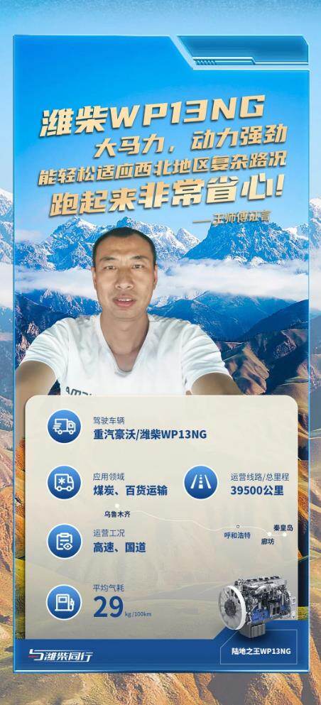 مقاطعة Weichai WP13NG الغاز مجموعة--Seetao