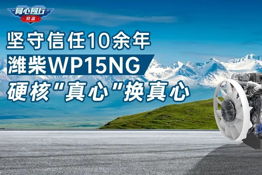 Weichai WP15NG Hardcore "heart" for heart--Seetao