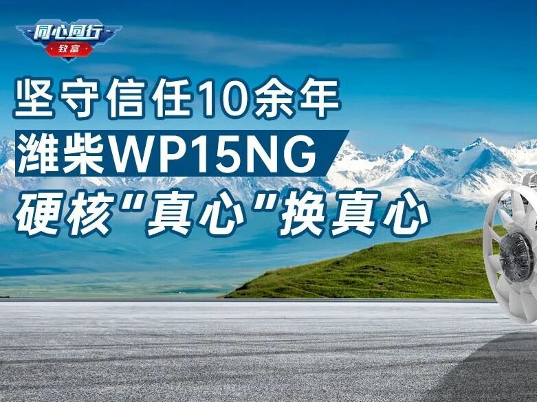 Weichai WP15NG Hardcore "heart" for heart--Seetao