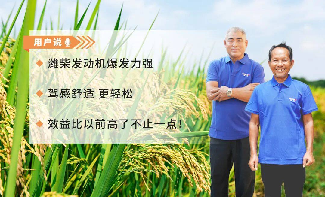 大国丰景 | 粮安家国兴，潍柴WP3.6N拖拉机动力助力丰收力量！--见道网