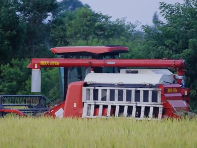 大国丰景 | 科技赋能粮，潍柴WP3.6N省油省心，丰收更有底气！--见道网
