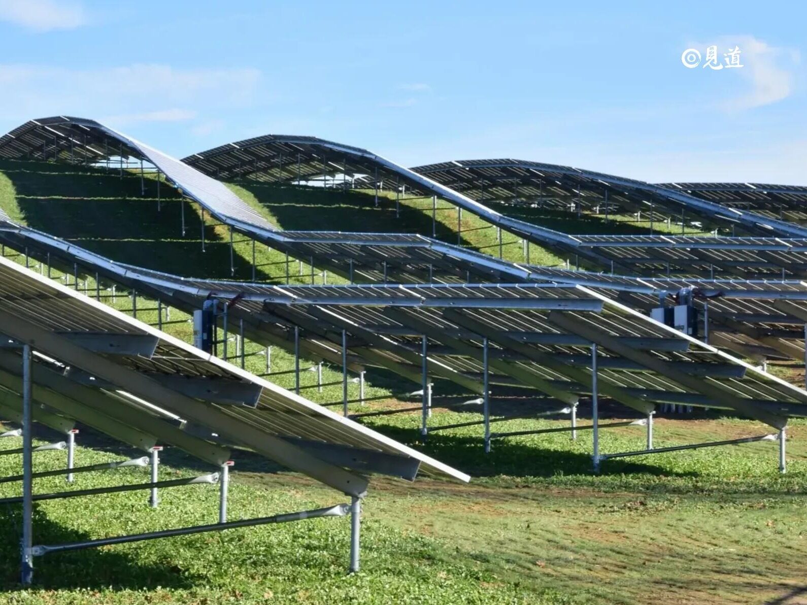 ويشجع التحالف الهندي للطاقة الفولطاضوئية الطاقة الشمسية والتكامل الزراعي--Seetao