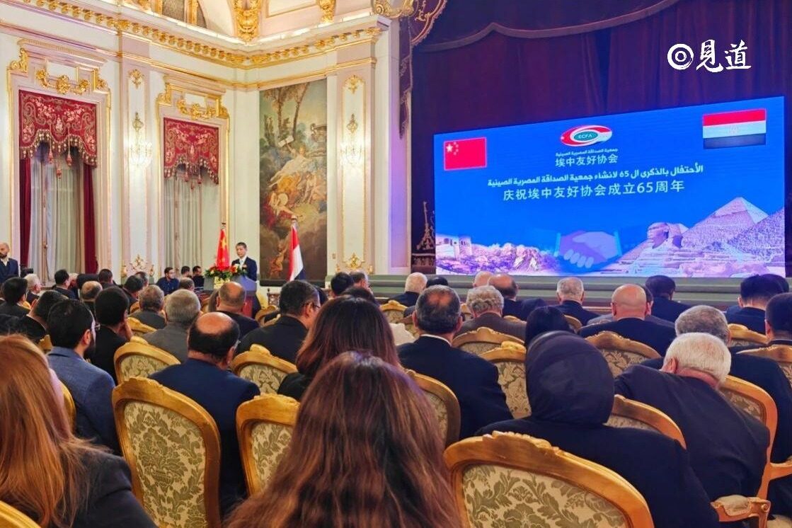 Friendly Development between China and Egypt: Yang Wanming's Visit to ...