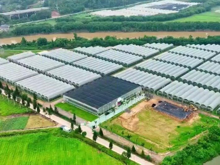 Hainan Oriental National Modern Agricultural Industrial Park starts ...