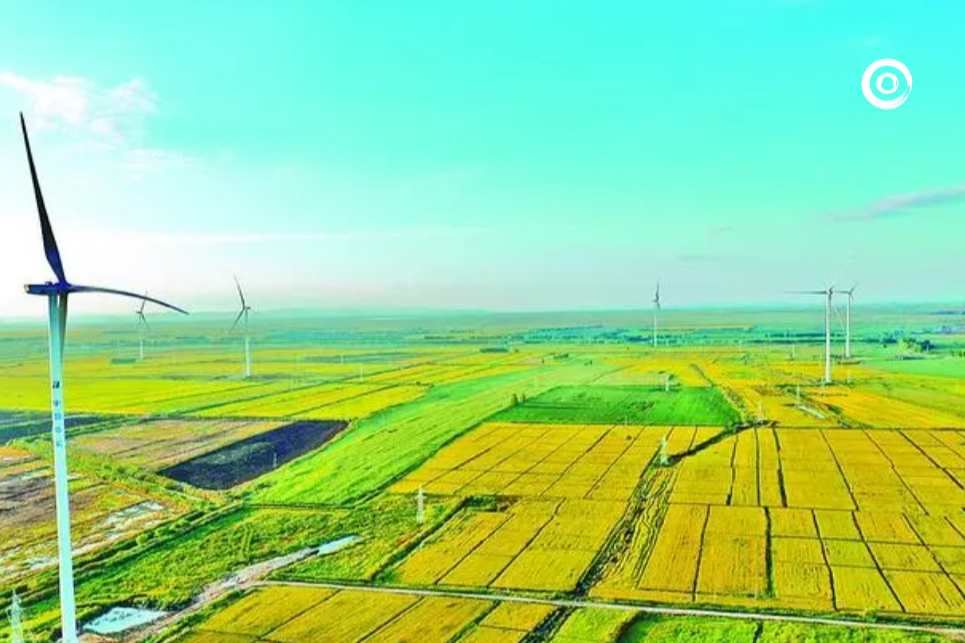 Inner Mongolia 500,000-ton green methanol project starts construction ...