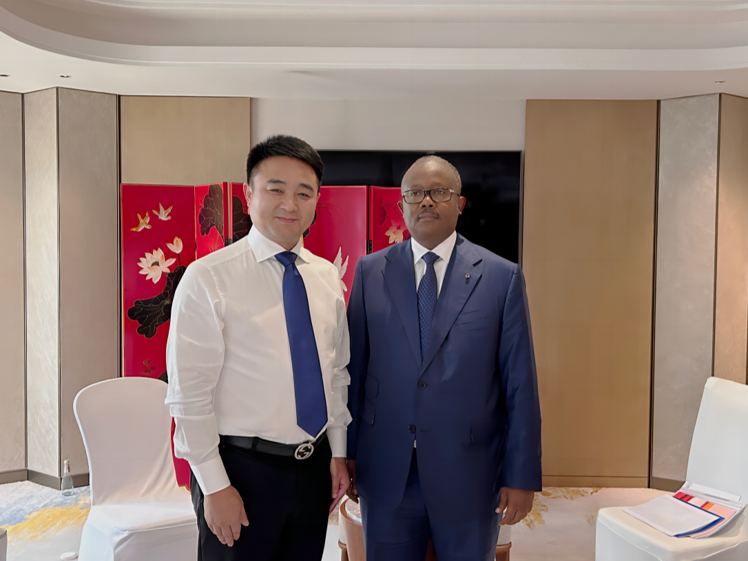 President Embaló of Guinea-Bissau Meets with Grand Sunergy CEO Gao Fei ...