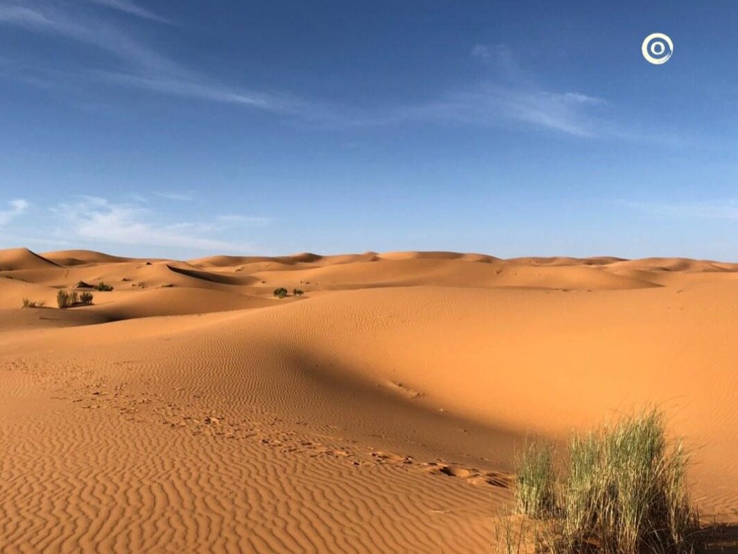 Shaanxi will take the lead in implementing sand land management in the western region--Seetao